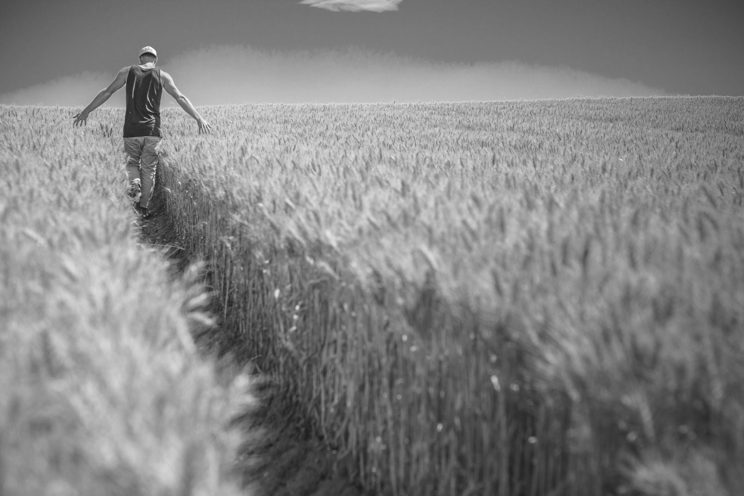 JEMS | Créer, manager et exploiter votre patrimoine data